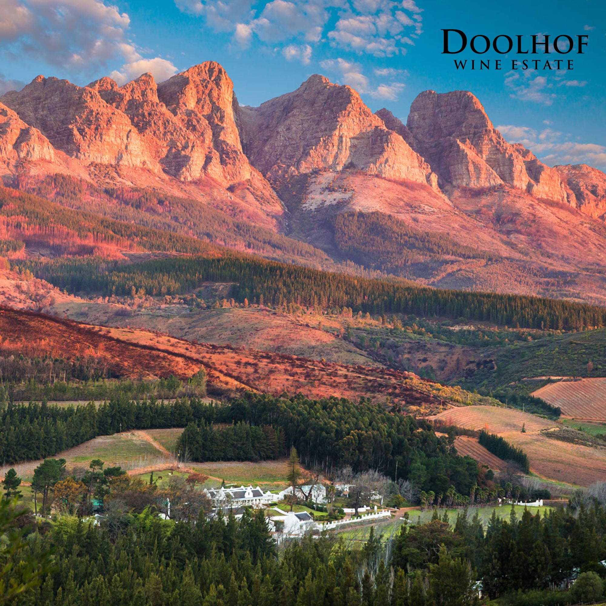 DOOLHOF WINE ESTATE | PINOTAGE – BOUVIGNE WIJNIMPORT B.V.