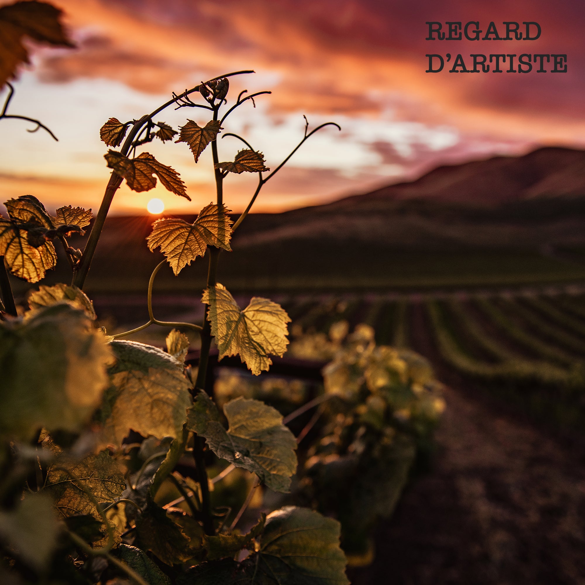 REGARD D'ARTISTE | ROUGE CLAIR – BOUVIGNE WIJNIMPORT B.V.